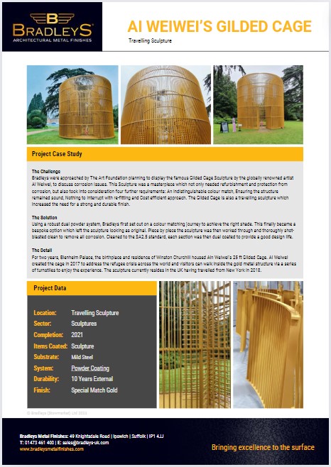 Ai Weiwei's Gilded Cage Case Study